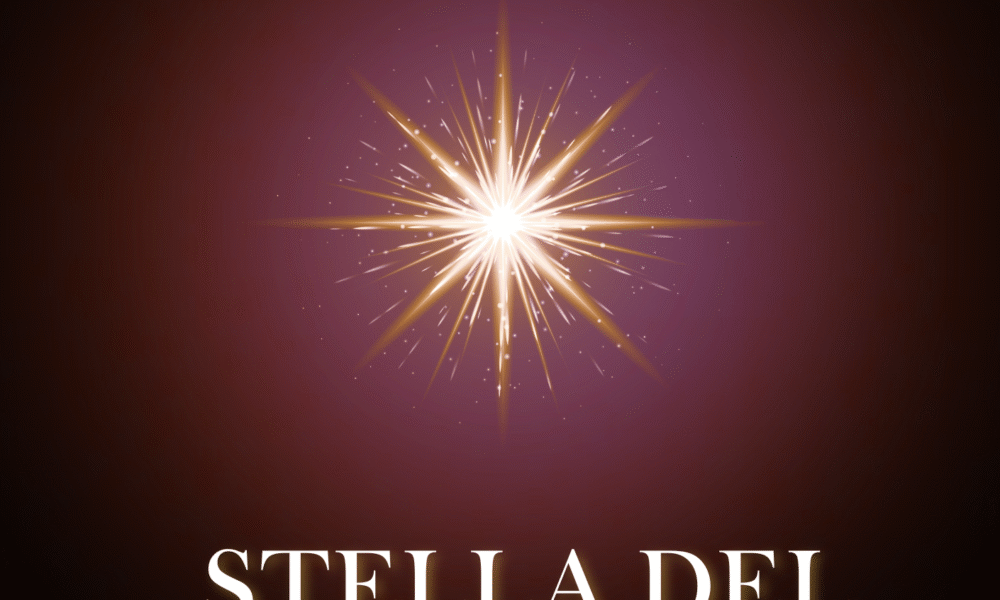 Veronica Madia, “IO. Stella del mattino” – Leggere:tutti
